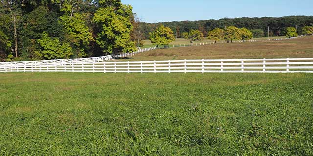 Equine Security - 14Equine